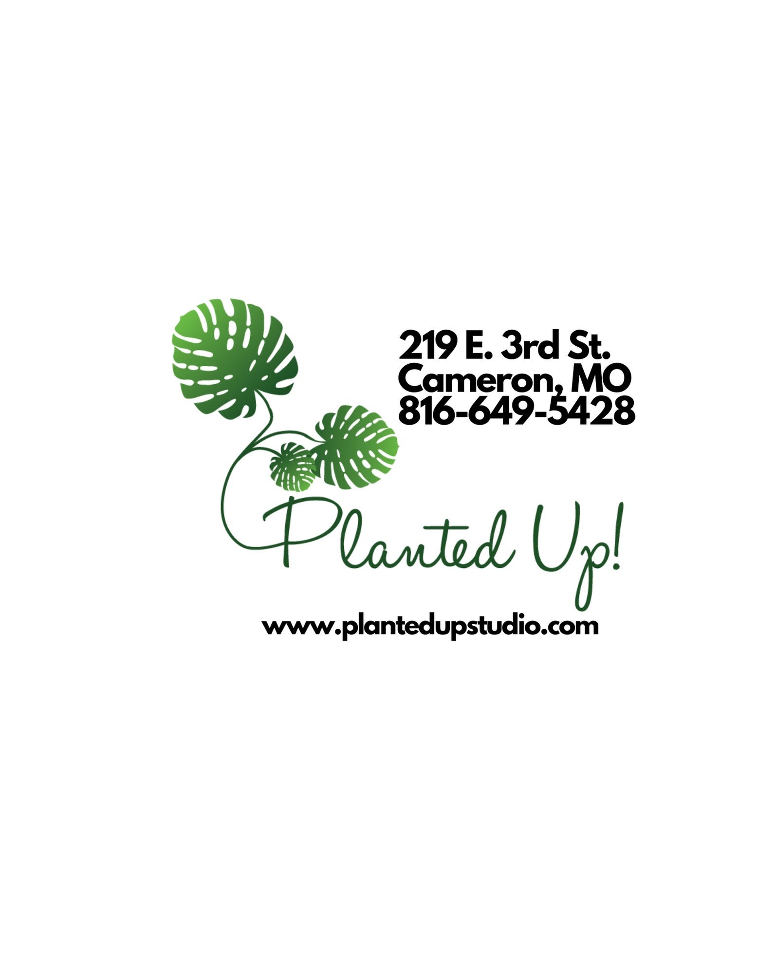 Planted Up! Studio and Floral Bar | Planted Up! 219 E 3rd Street ...